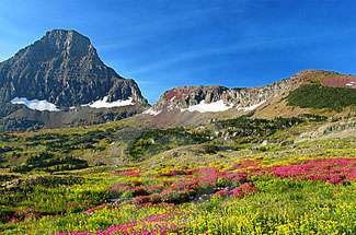 Alpine Meadows - Sharp Hood Real Estate Group