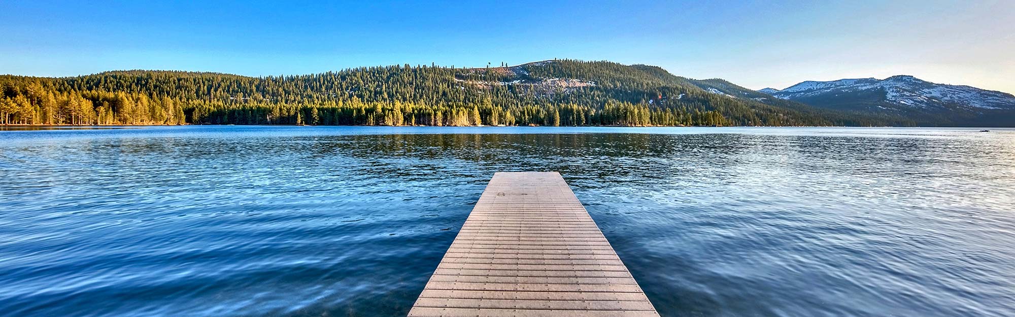 Buy With Us - Sharp Hood Real Estate Group